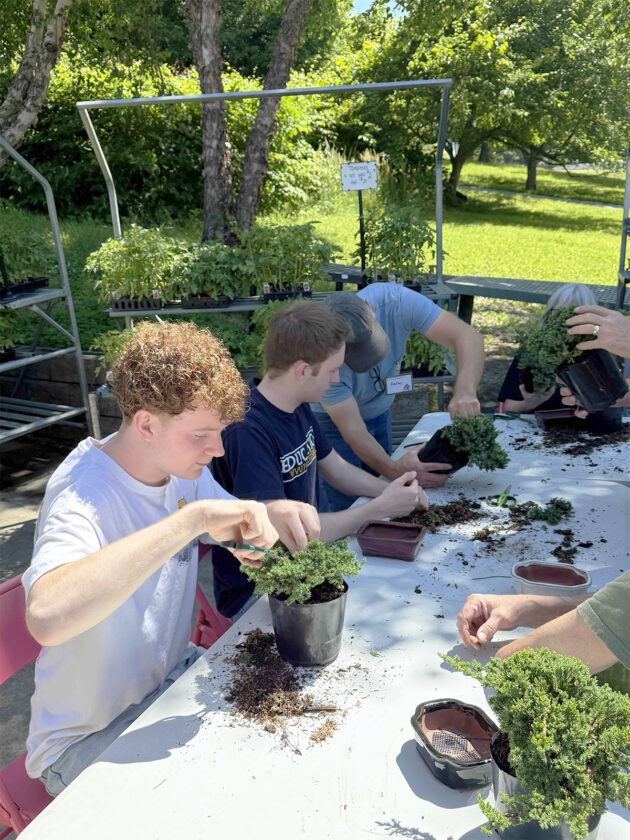 Ki No Kaze Bonsai Club hosts hands-on workshop at Scot’s Marketplace ...